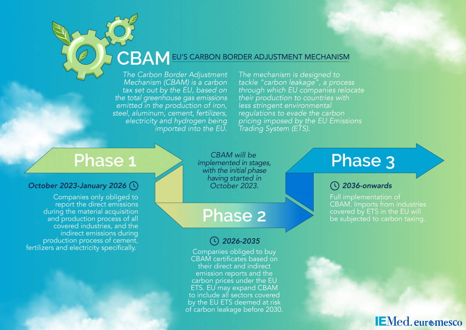 Implementing the CBAM: How Are the EU’s Southern Neighbours Preparing and What Can the EU Do to ...